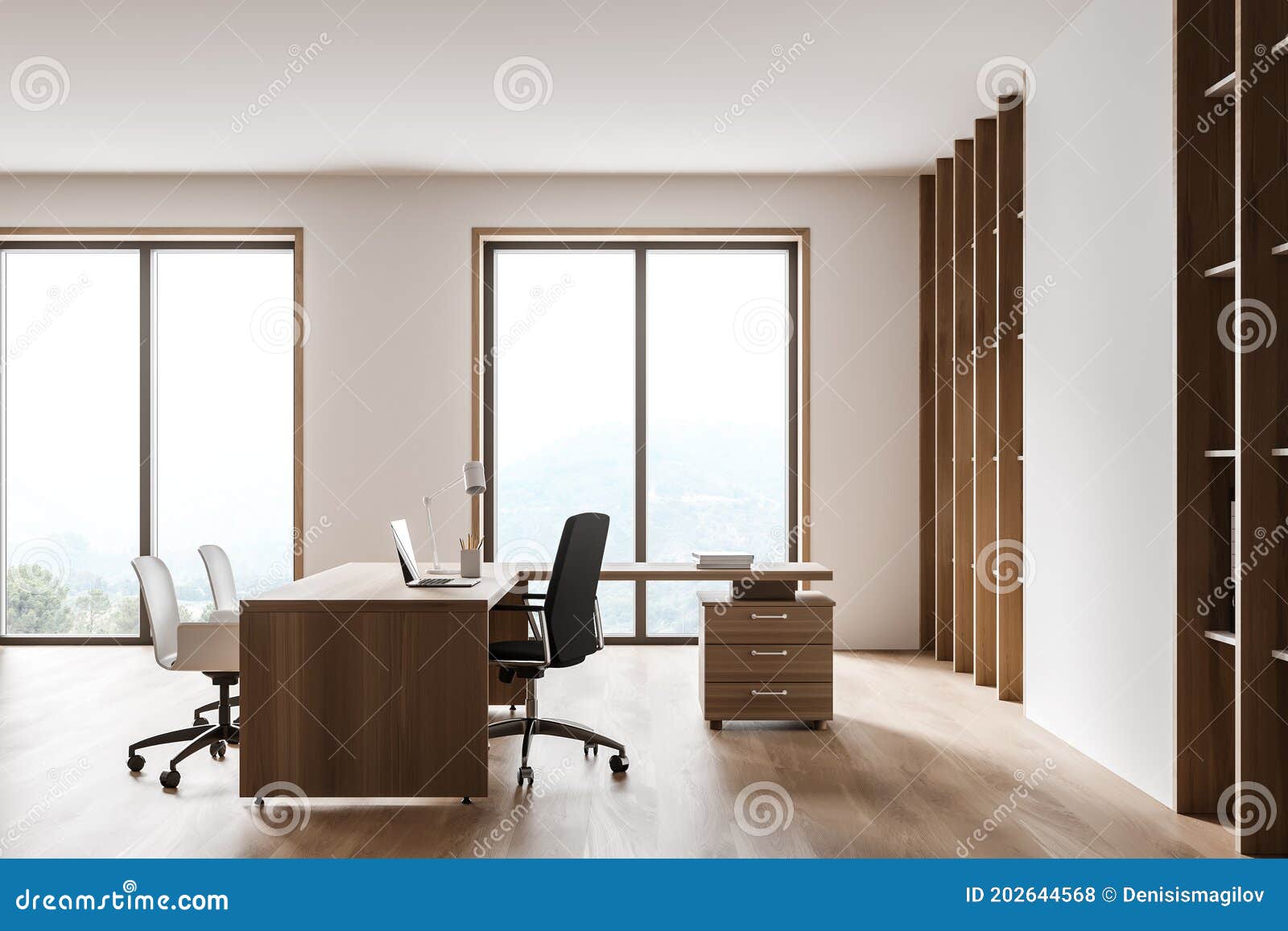 White and Wooden CEO Office Interior, Side View Stock Illustration ...