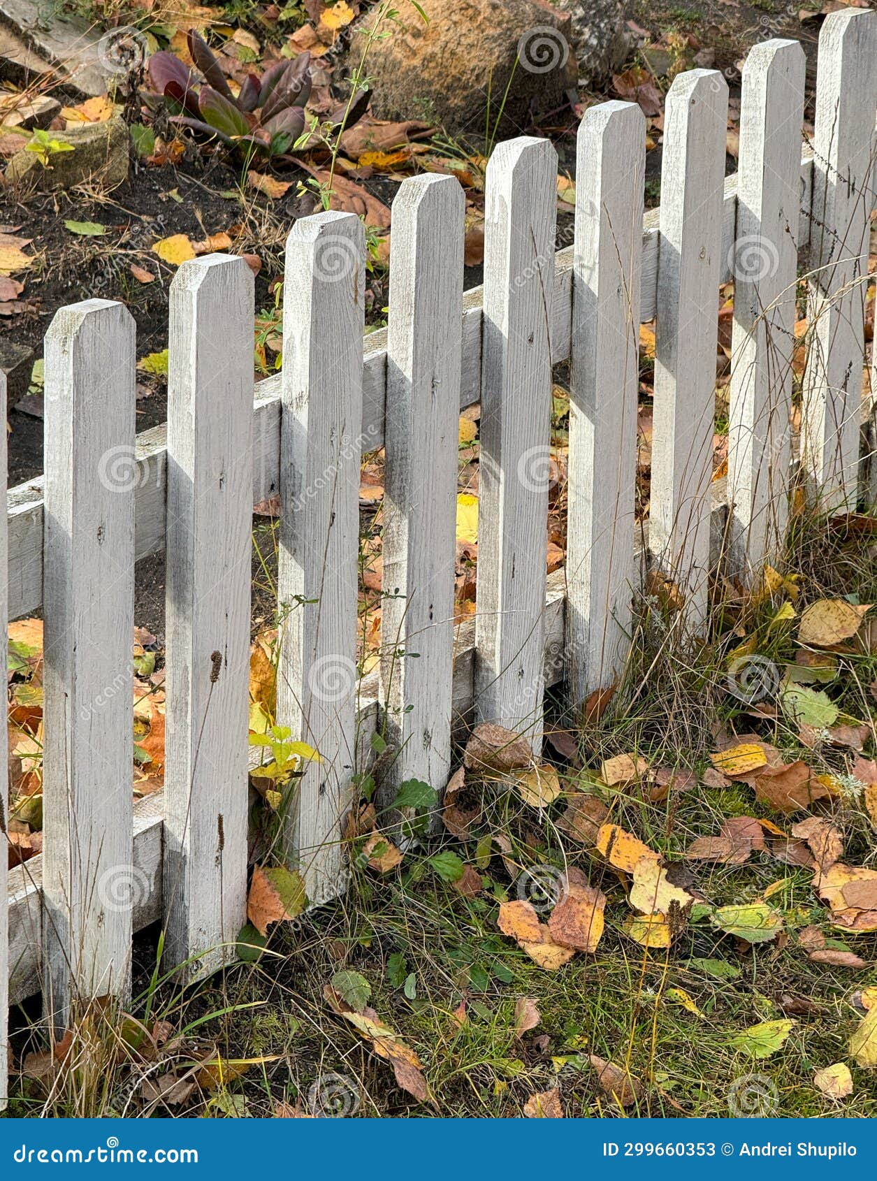 White Wooden Fence in Nature. Background Stock Image - Image of front ...
