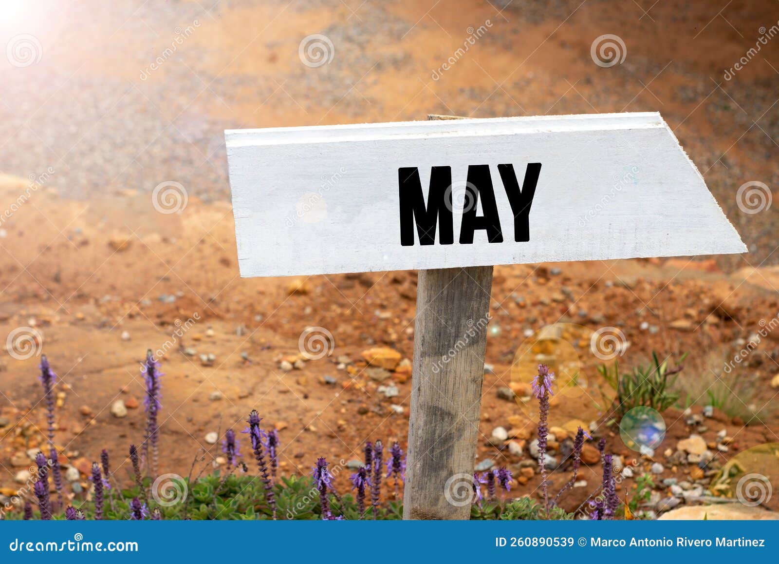 White Wooden Signpost with the Word May Stock Image - Image of wind ...