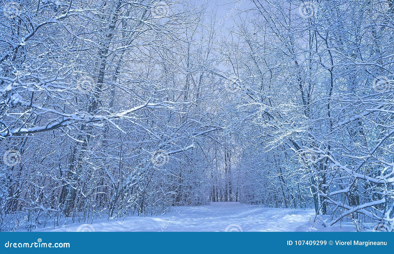 200 Clear Backround Cold Stock Photos - Free & Royalty-Free Stock ...