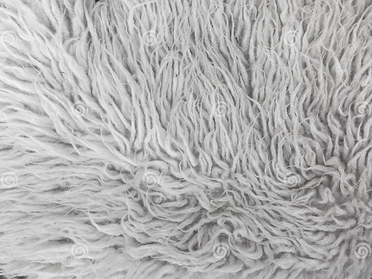 White Wool Texture Background Stock Photo - Image of wool, backdrop ...