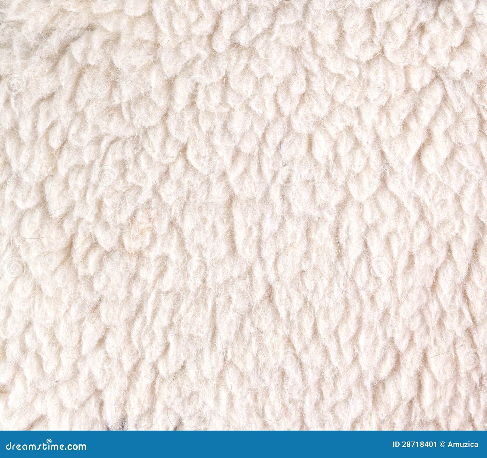 White Woolly Sheep Fleece for Background Stock Image - Image of woolly ...
