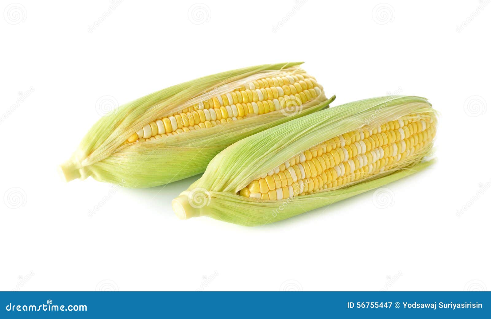 5,201 Shell Corn Stock Photos - Free & Royalty-Free Stock Photos from ...