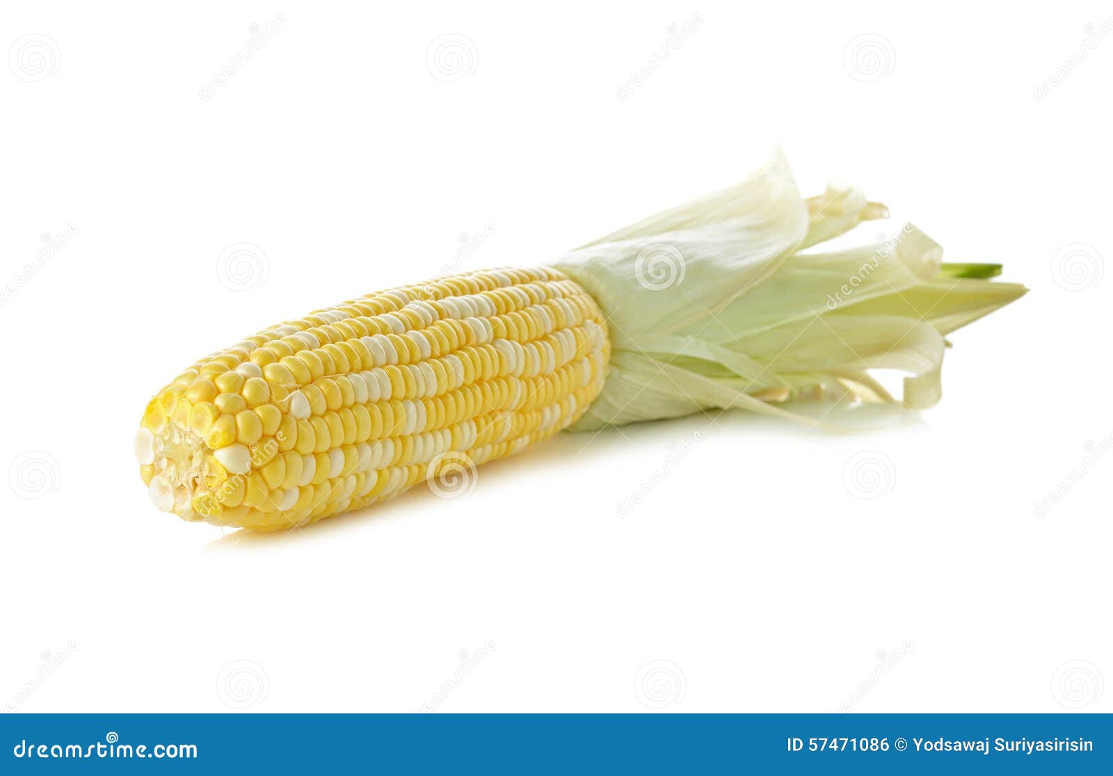 White and Yellow Corn with Shell on White Stock Photo - Image of fruit ...
