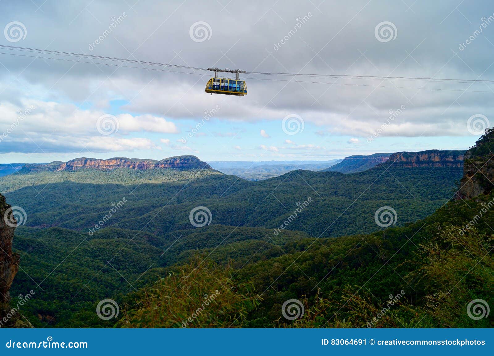 White Zip Line Bus Above On Green Leaved Trees Picture. Image: 83064691
