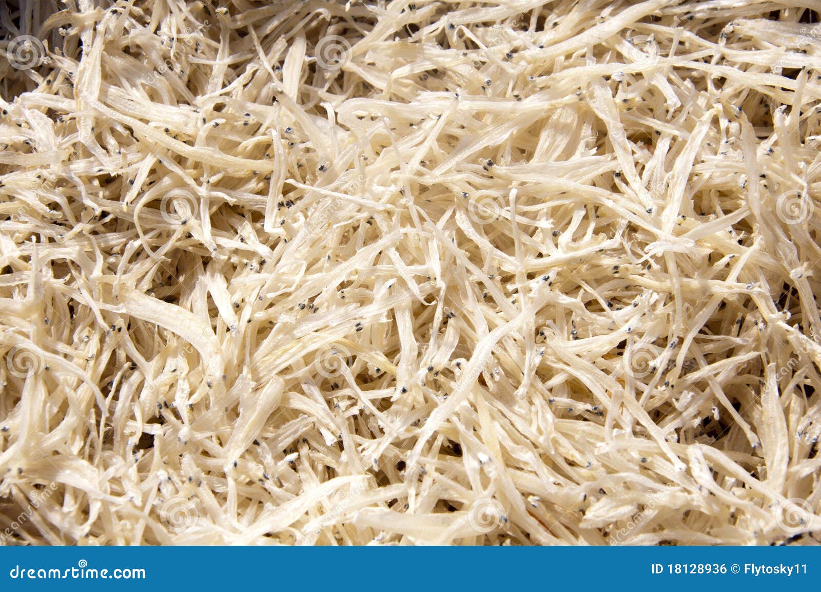 Whitebait stock photo. Image of whitebait, fresh, food - 18128936