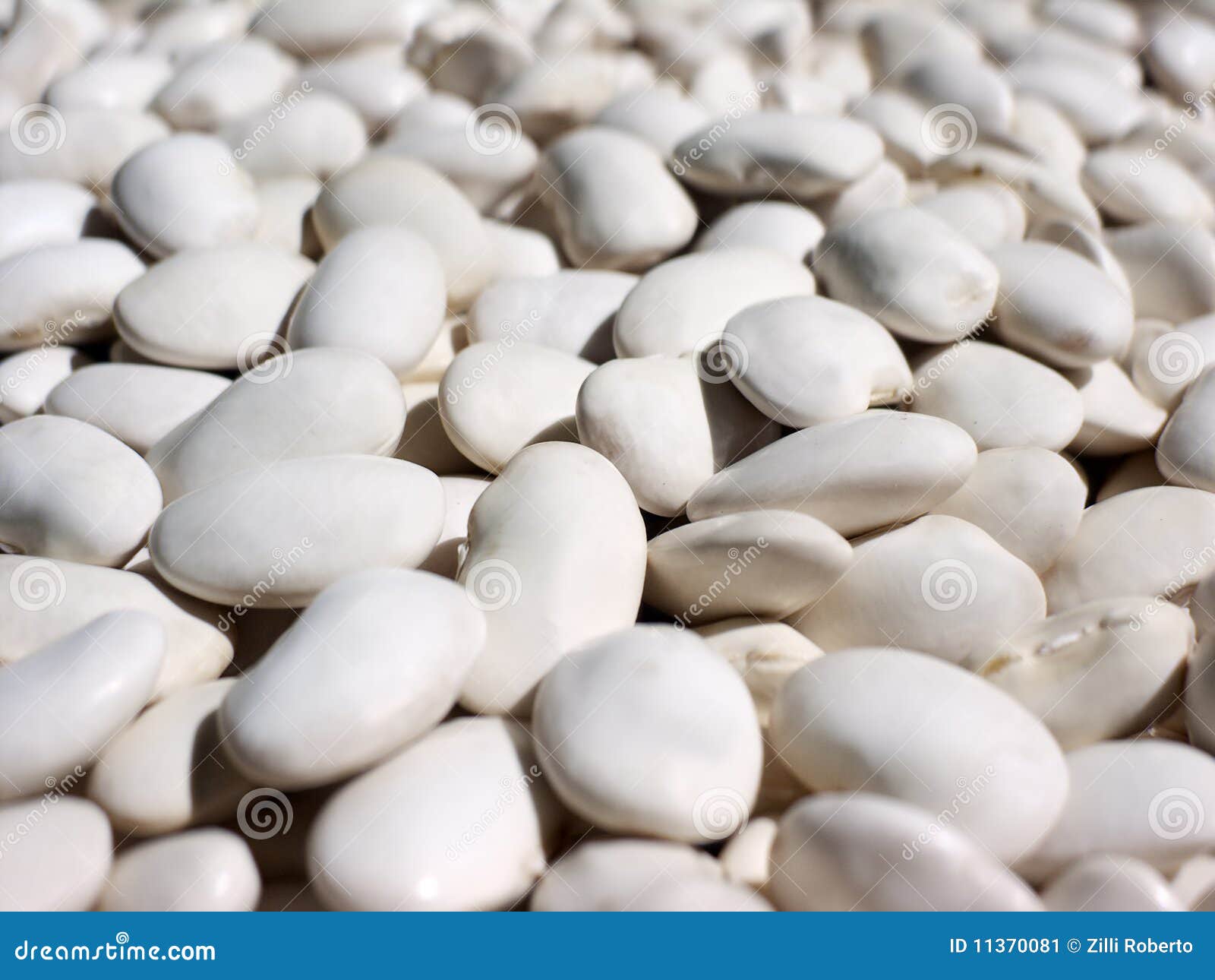 Whitebeans stock image. Image of healthy, beans, eating - 11370081