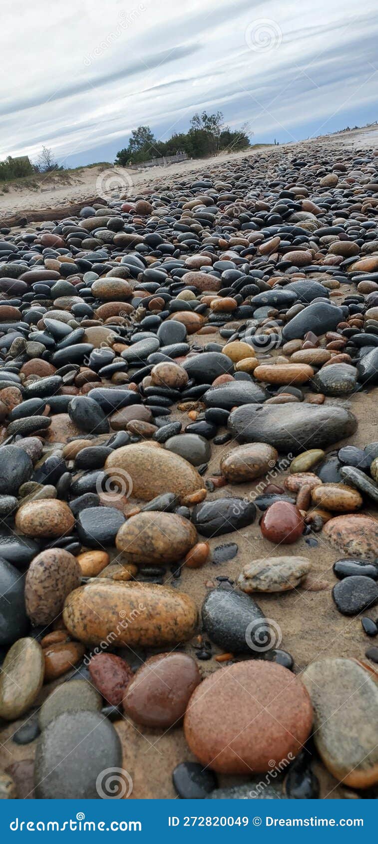 Find the agate stock image. Image of walkway, wildlife - 272820049