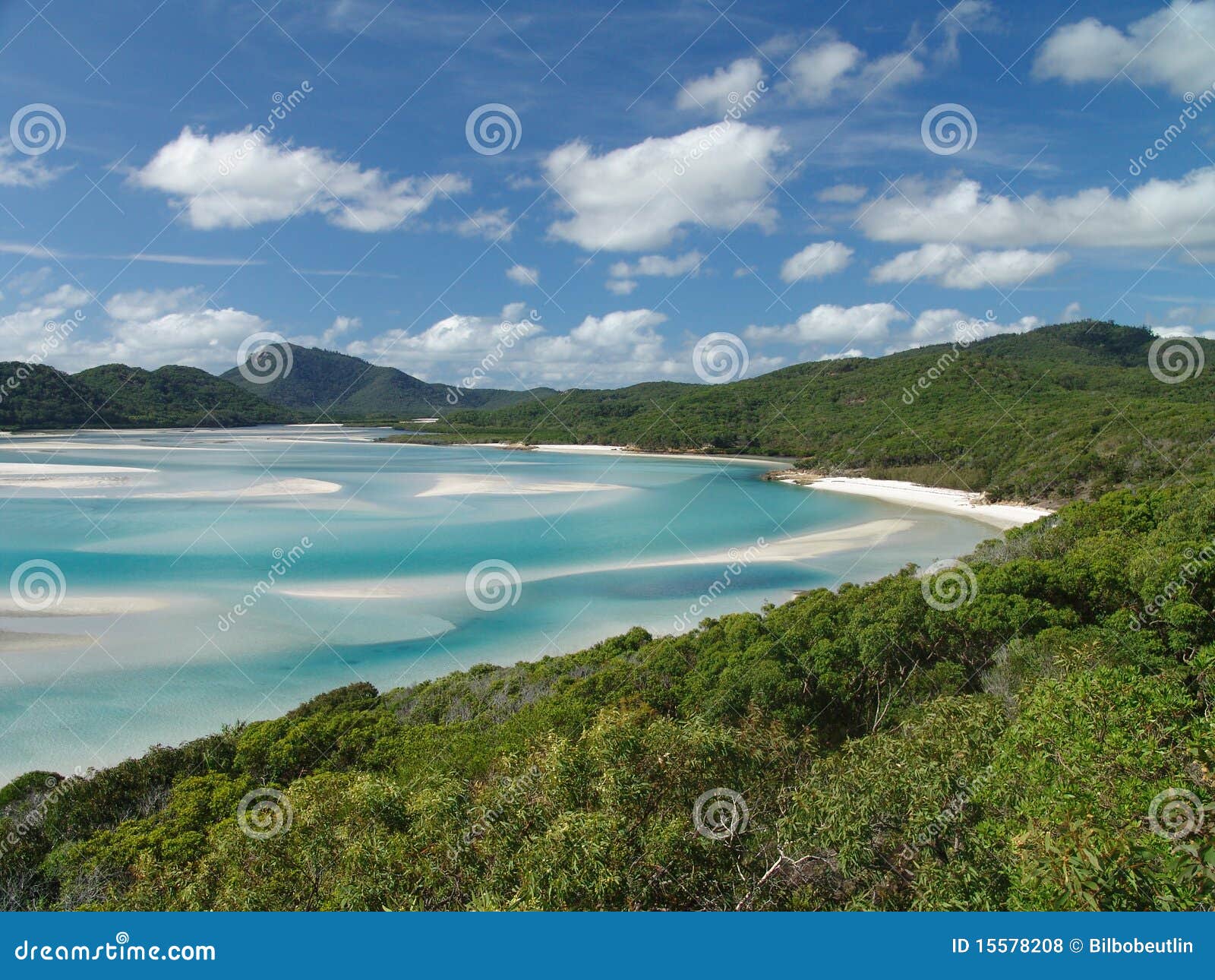 Whitehaven Beach stock photo. Image of vegetation, trees - 15578208