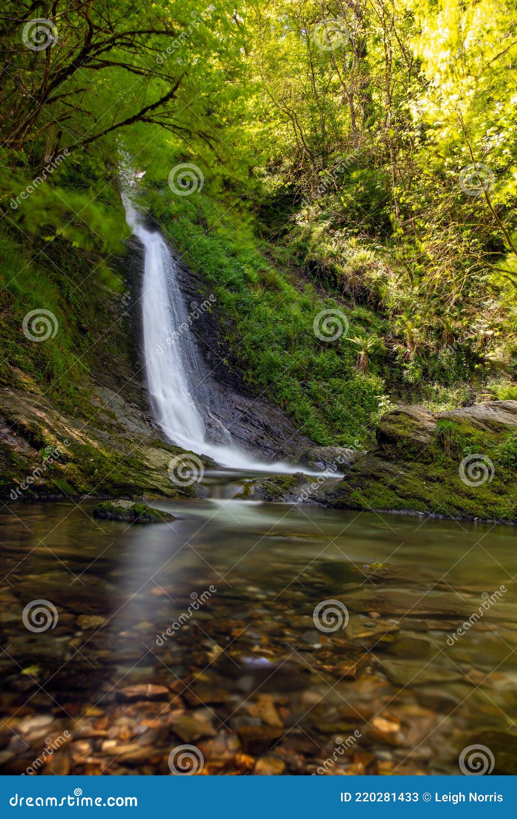 Whitelady Waterfall, Lydford Gorge Stock Image - Image of nature ...