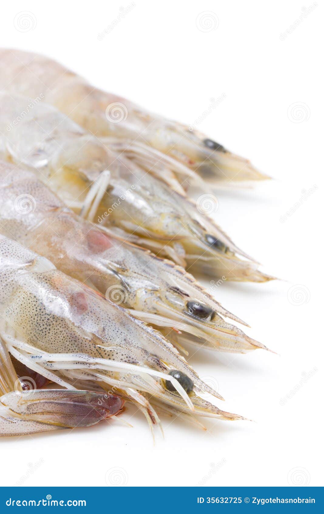 Raw Whiteleg Shrimp, Pacific White Shrimp Litopenaeus Vannamei Stock ...