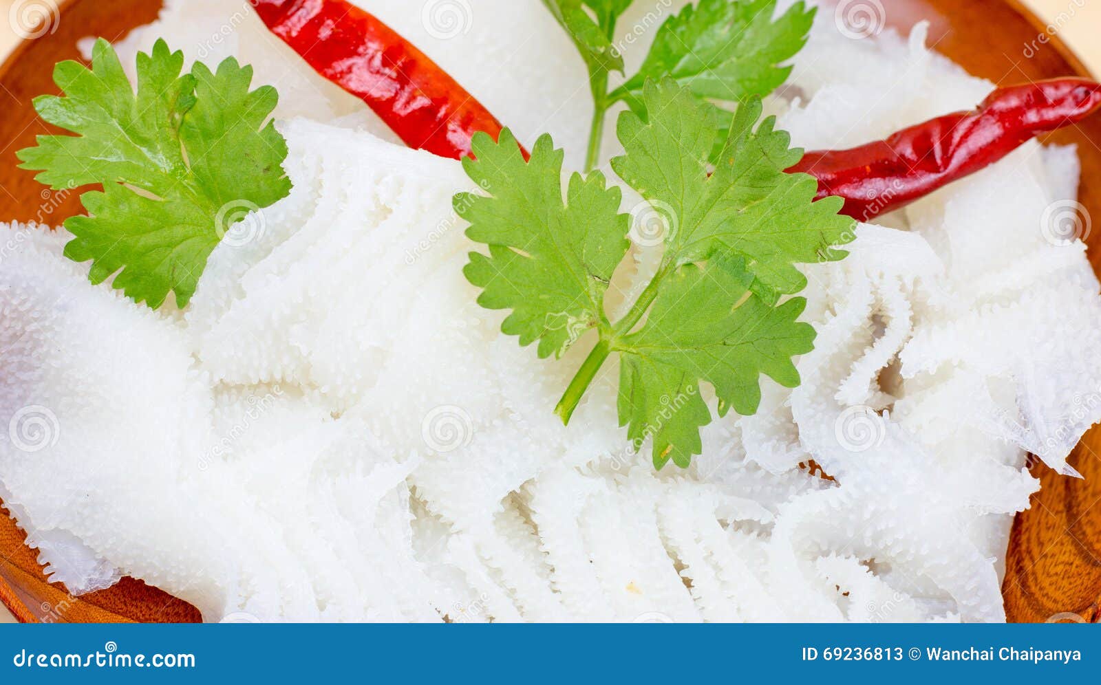 Whiten ox tripe stock image. Image of honeycomb, celery - 69236813