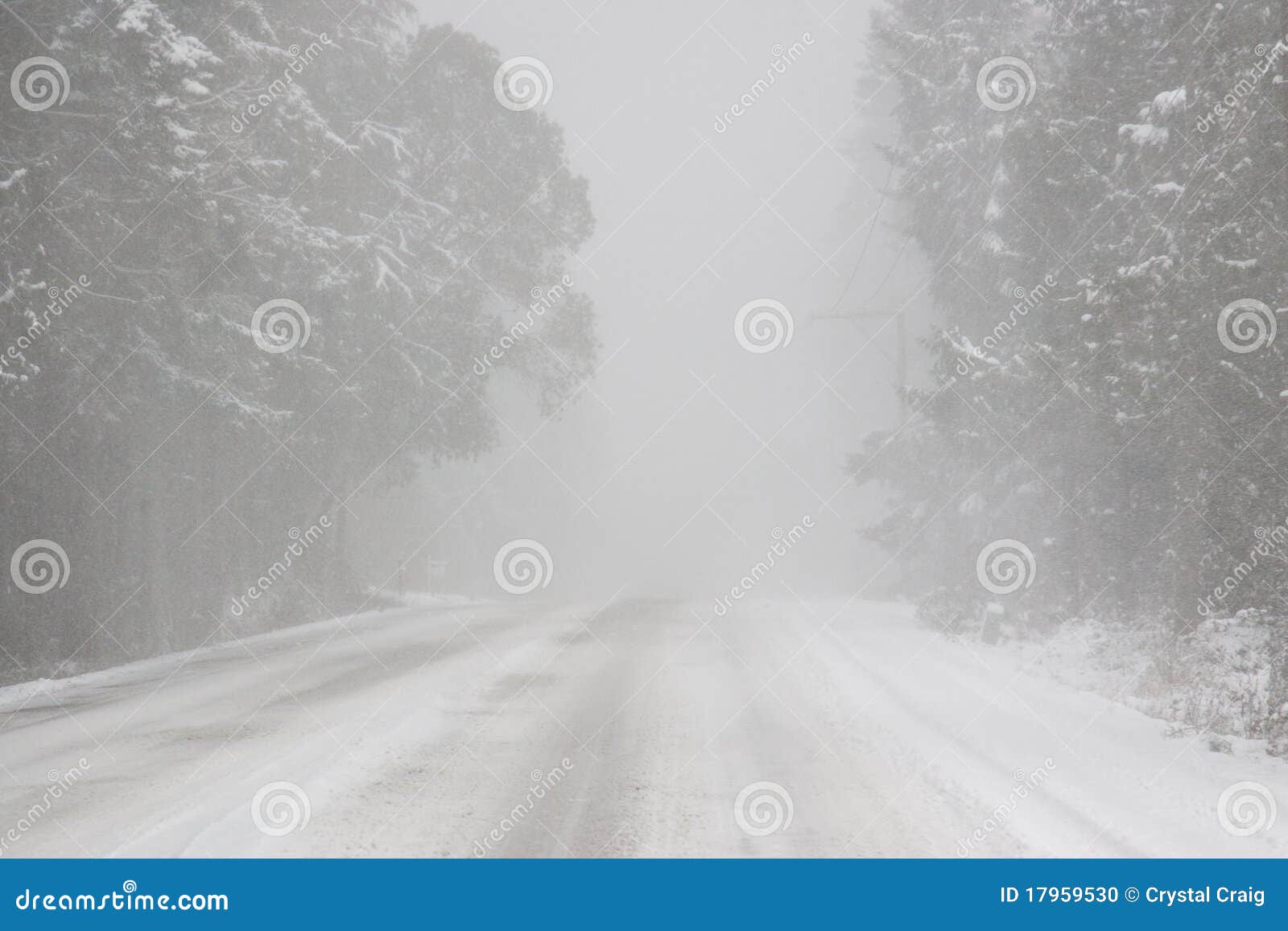 Whiteout Driving Conditions Stock Photo - Image of winter, travel: 17959530