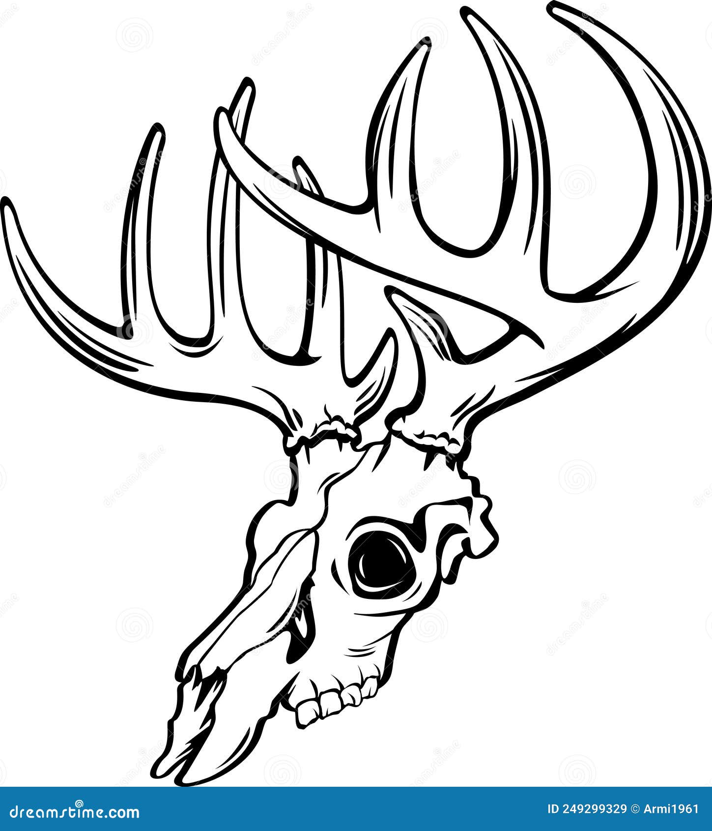Whitetail Deer Buck Skull Vector Stock Vector - Illustration of logo ...