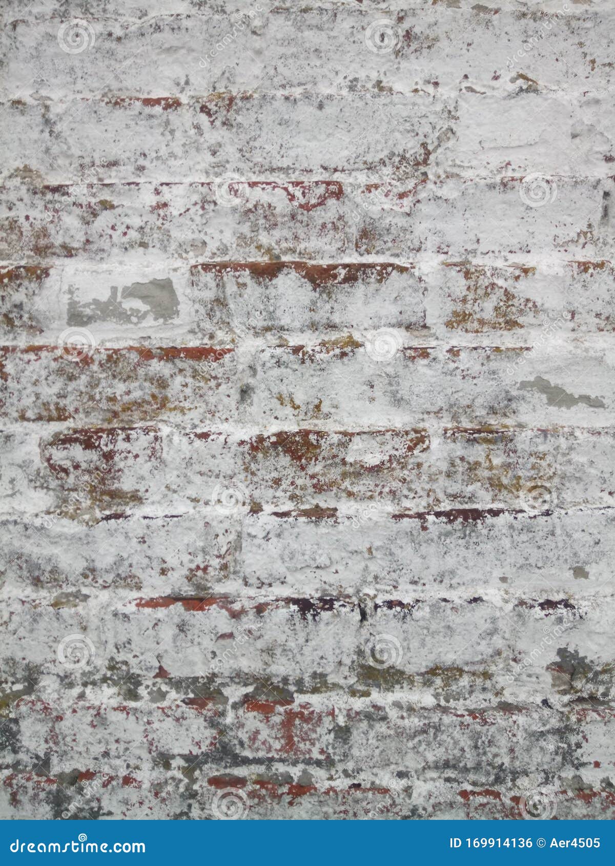 Whitewashed brick old wall stock photo. Image of white - 169914136
