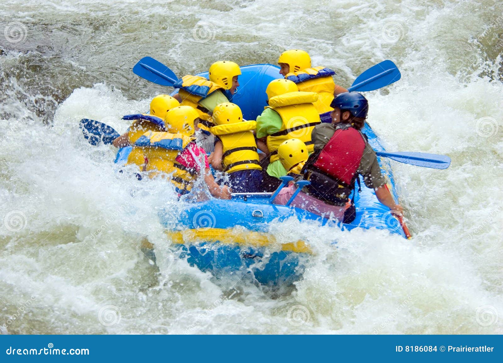 Whitewater Rafting stock photo. Image of oars, lifevest - 8186084