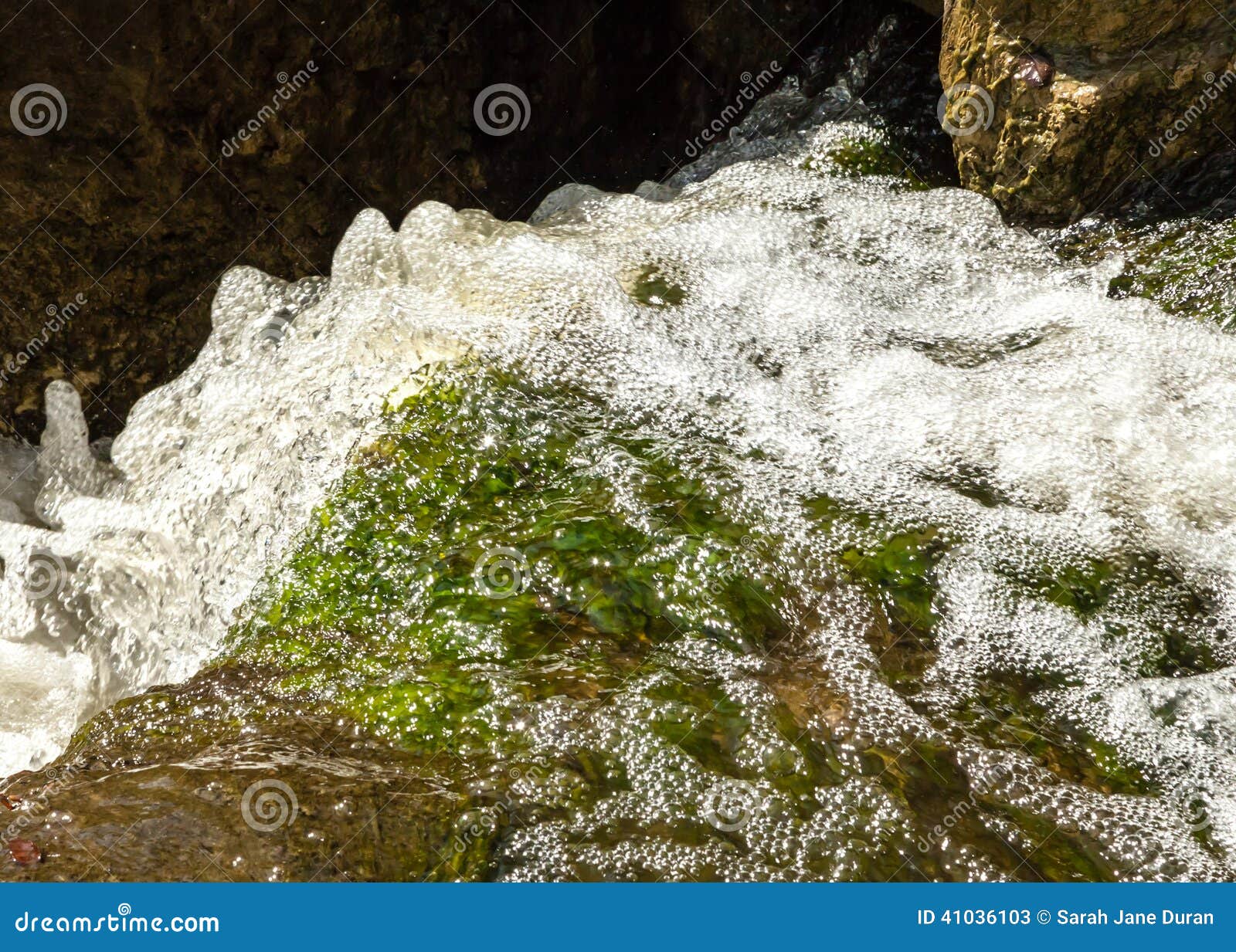 Whitewater Rapid on Fast Moving Stream with Rocks and Algae Stock Image ...