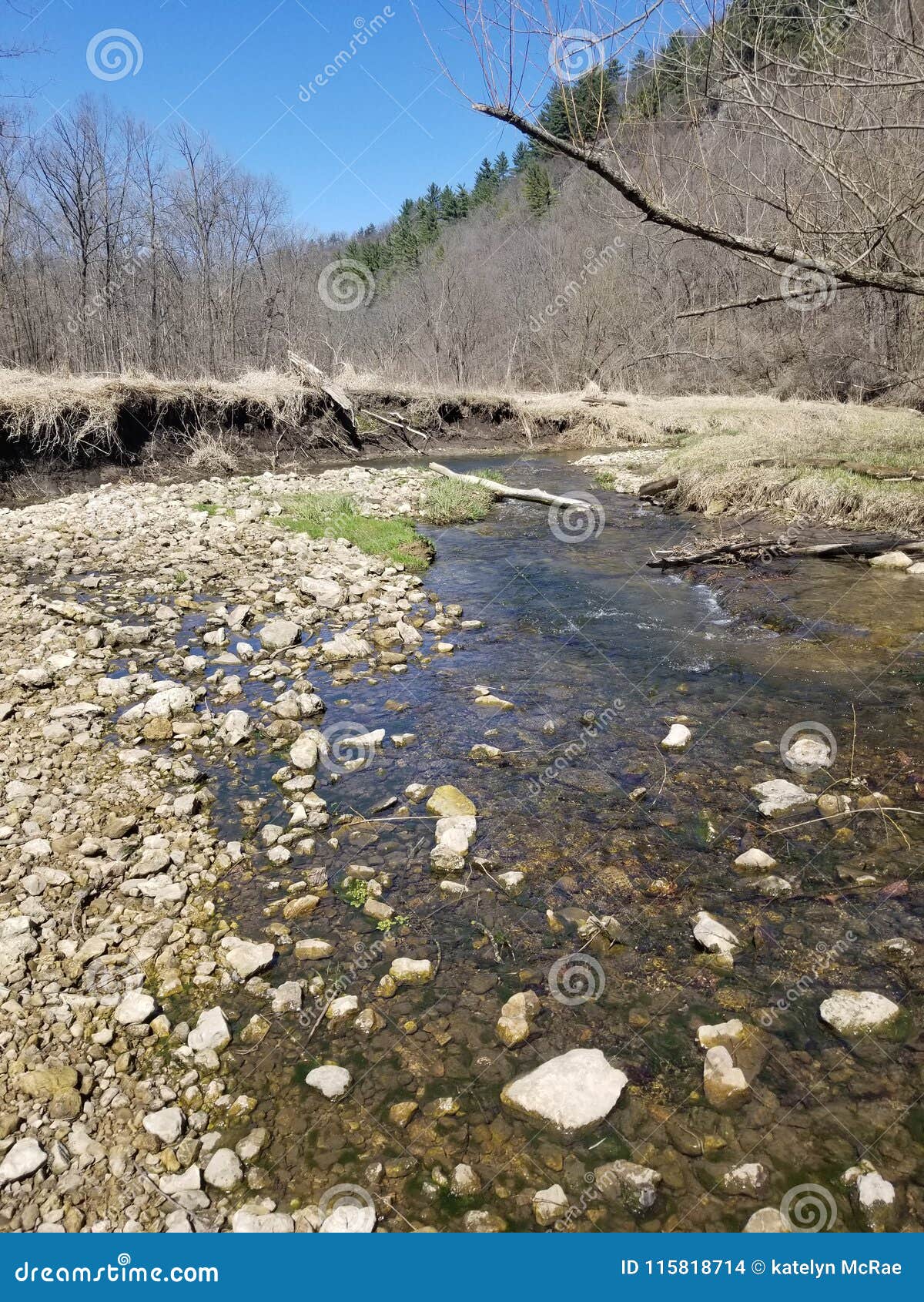 Whitewater stock photo. Image of river, rocks, whitewater - 115818714