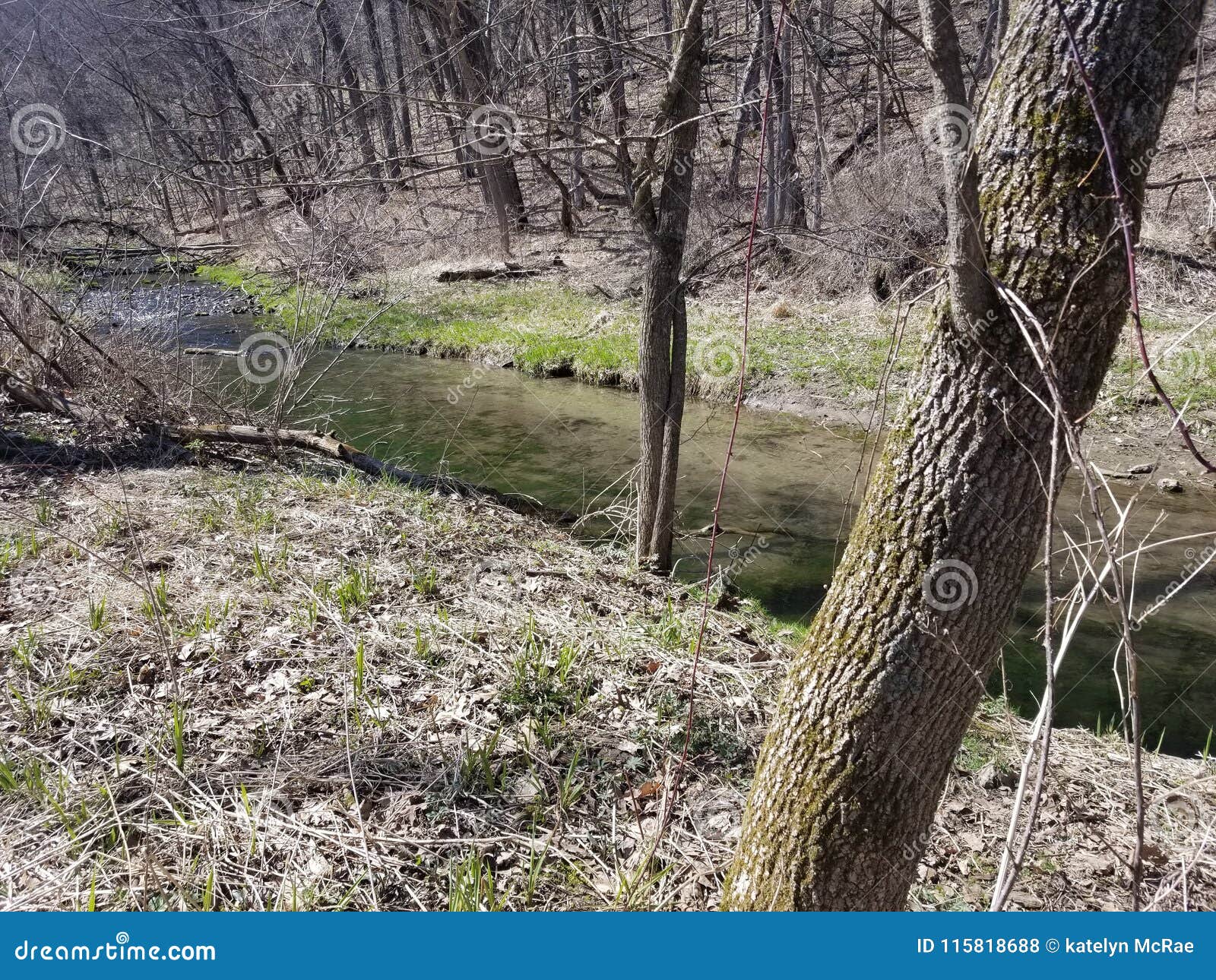 River white water stock photo. Image of white, trails - 115818688