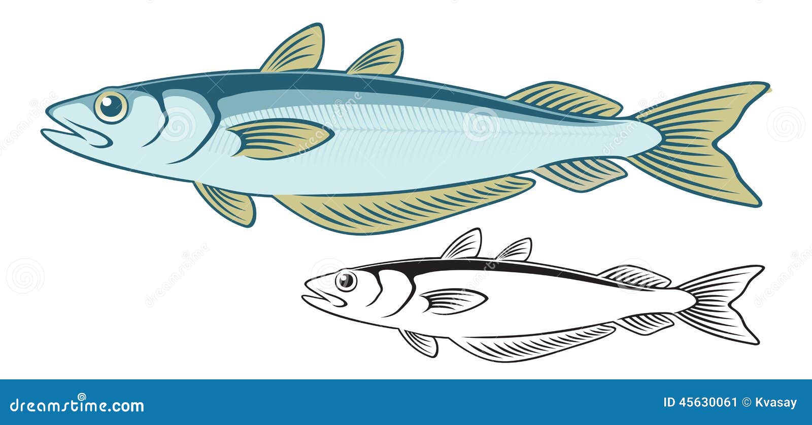 Whiting Stock Illustrations – 429 Whiting Stock Illustrations, Vectors ...