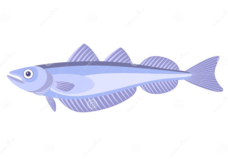 Whiting stock vector. Illustration of abstract, life - 49299392