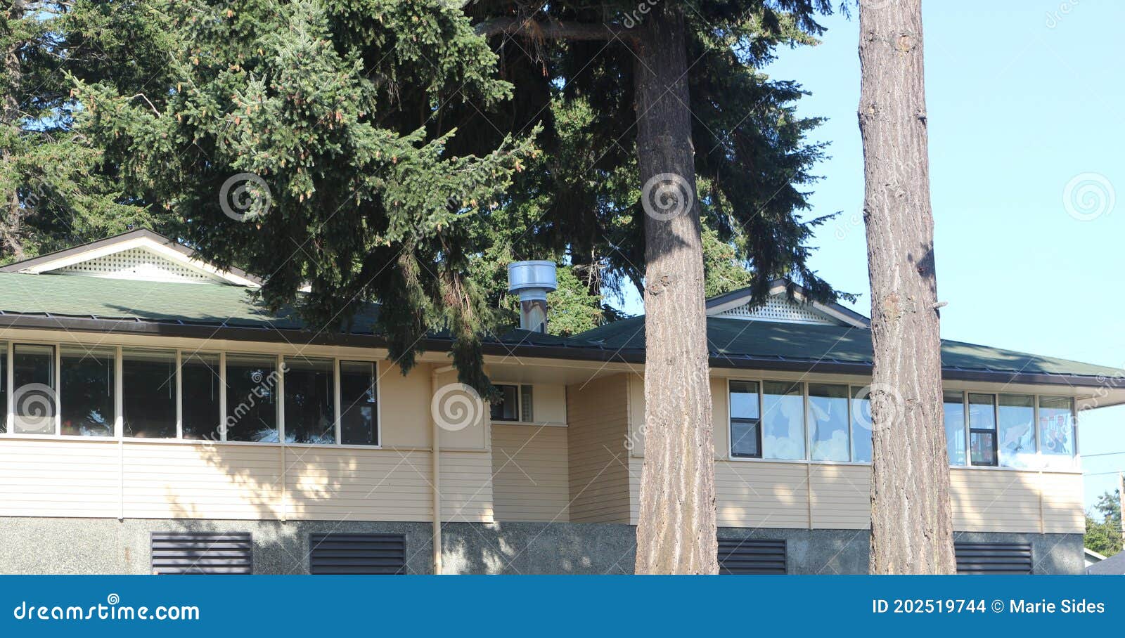 Whitney Elementary School stock photo. Image of overlooking - 202519744