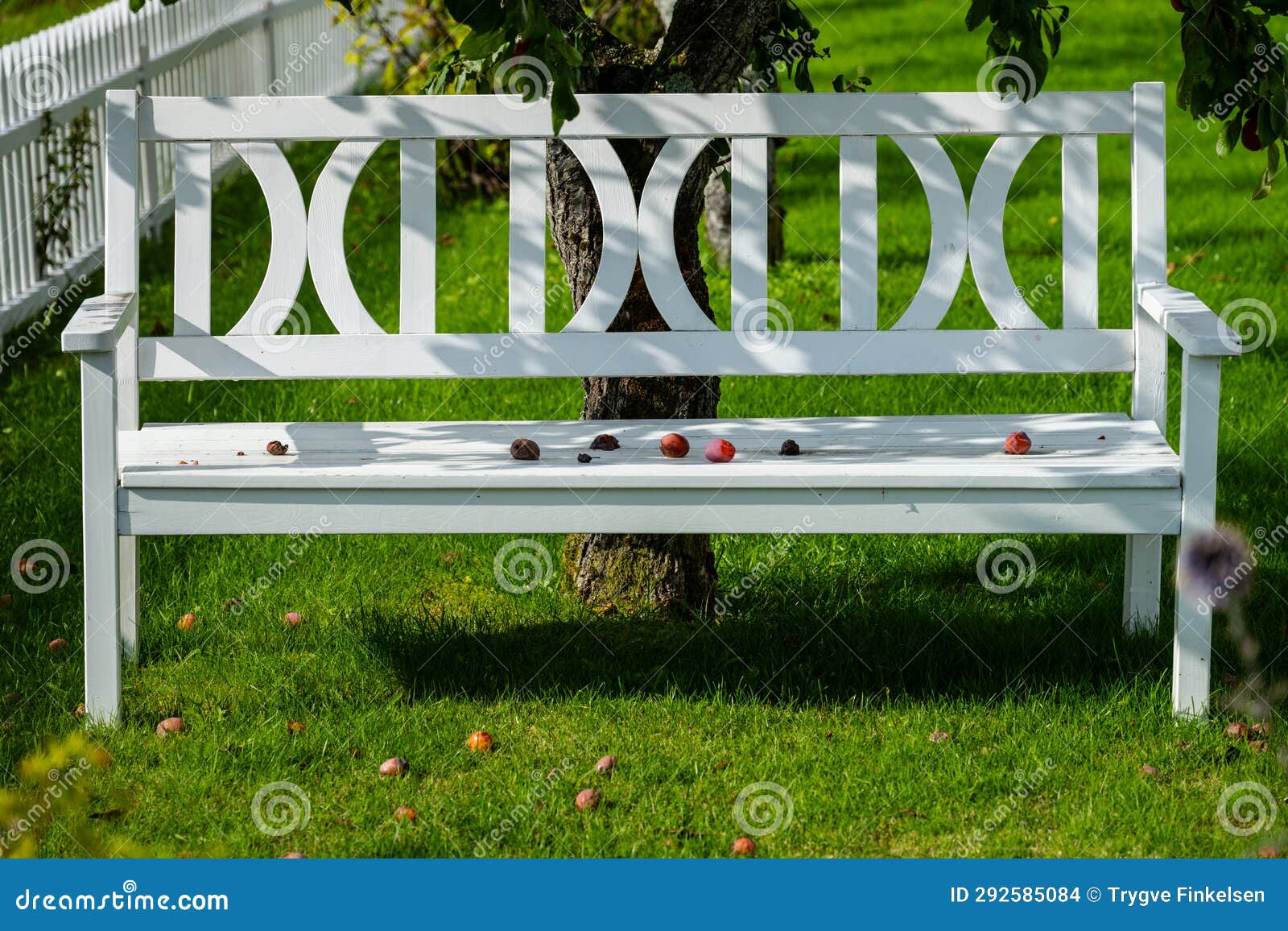Whiyte Park Bench Under an Apple Tree in a Garden.. Stock Photo - Image ...