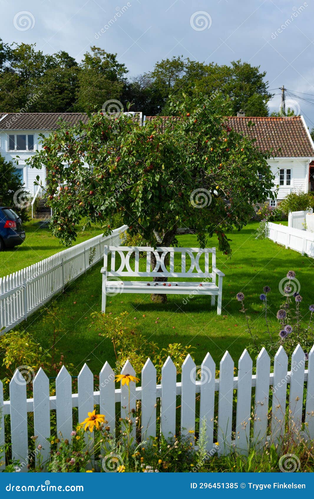 Whiyte Park Bench Under an Apple Tree in a Garden.. Stock Image - Image ...
