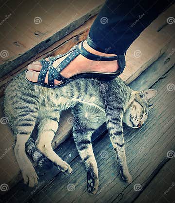 Who are stomp on me ? stock image. Image of difficulty - 38130093