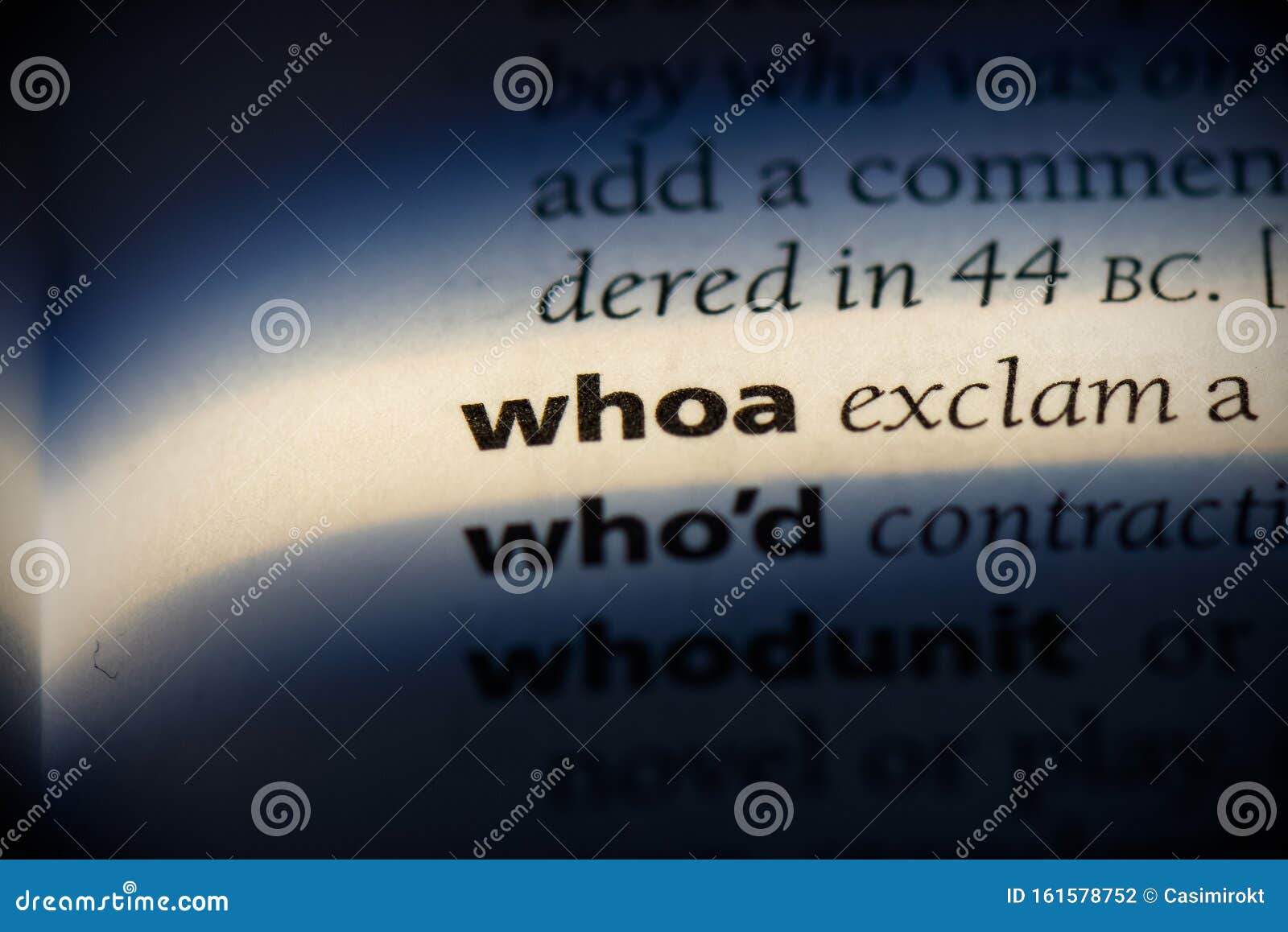 Whoa stock photo. Image of closeup, info, close, learn - 161578752