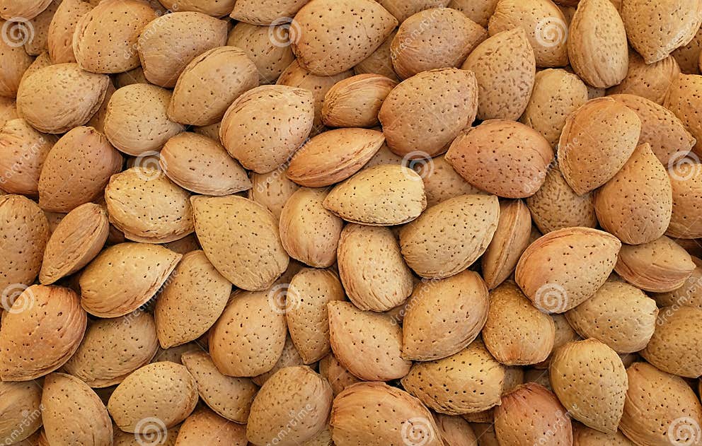 Whole Almonds in Shells Background Stock Photo - Image of edible, fiber ...