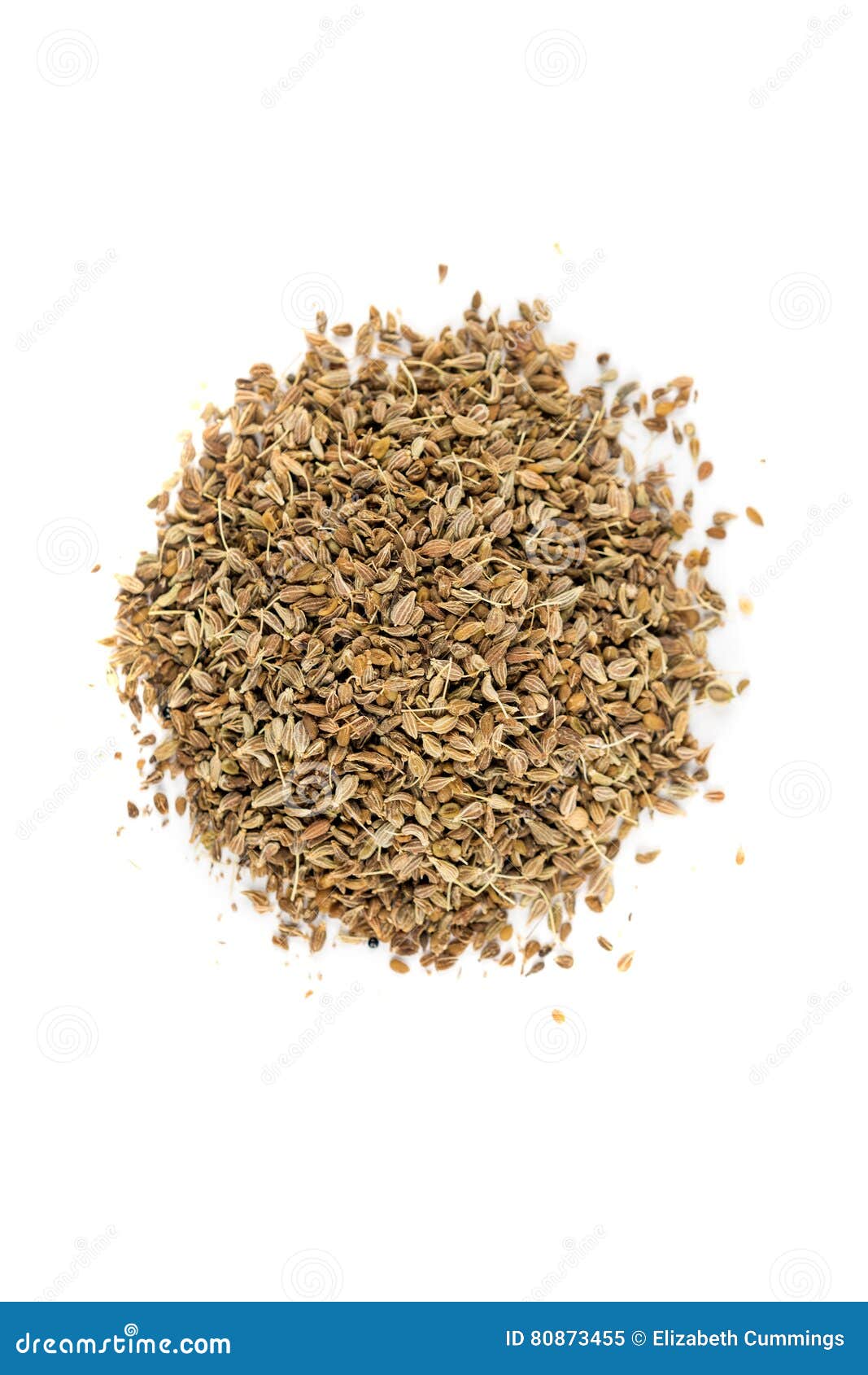 Whole anise seed stock image. Image of food, dried, homemade - 80873455