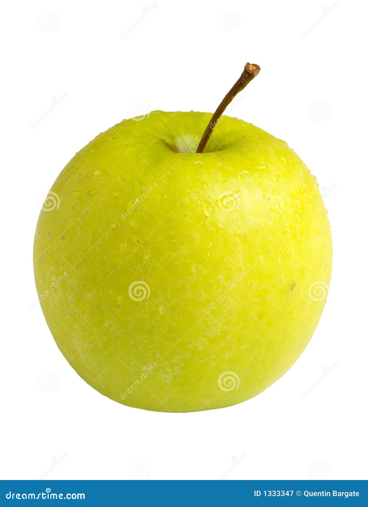 Whole Apple, isolated stock image. Image of single, pudding - 1333347