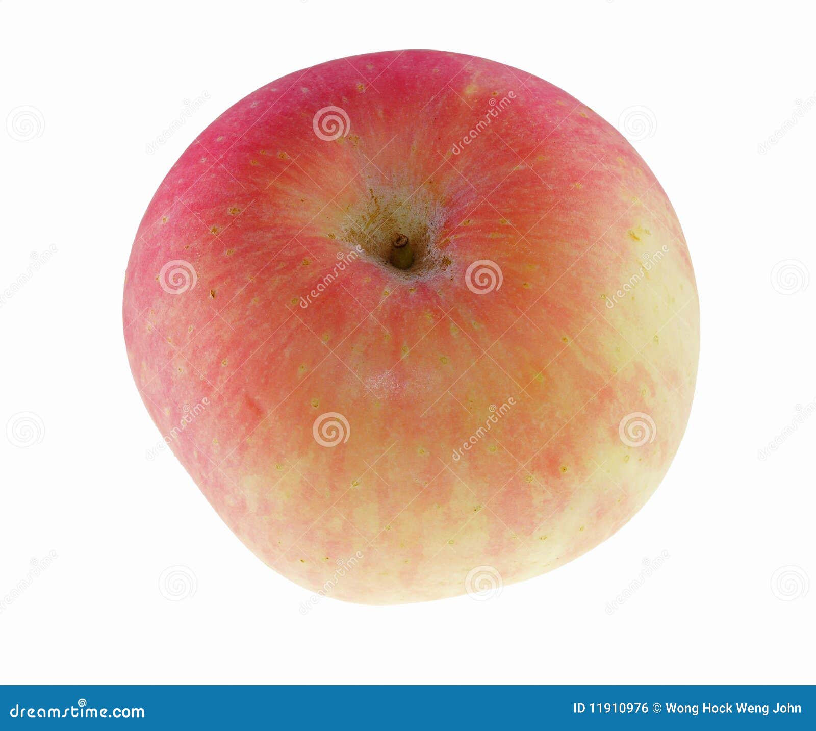 Whole apple on the table stock photo. Image of crop, garden - 11910976