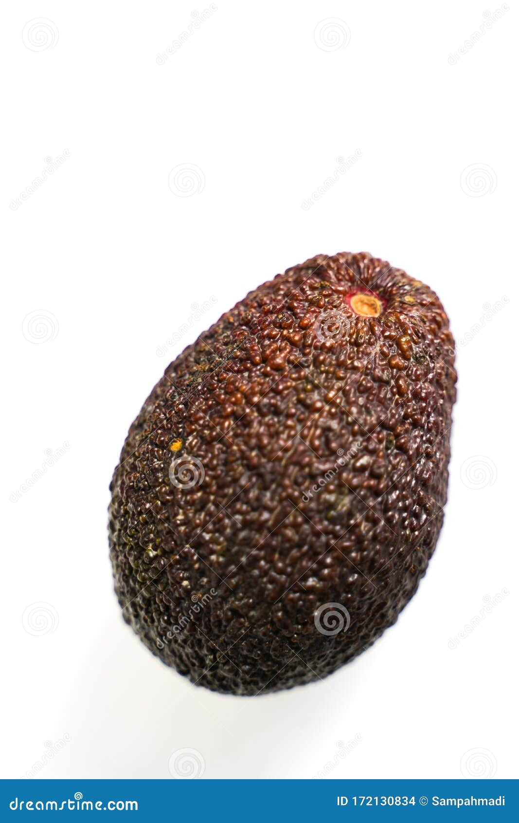 A Whole Avocado Close Up stock photo. Image of apples - 172130834