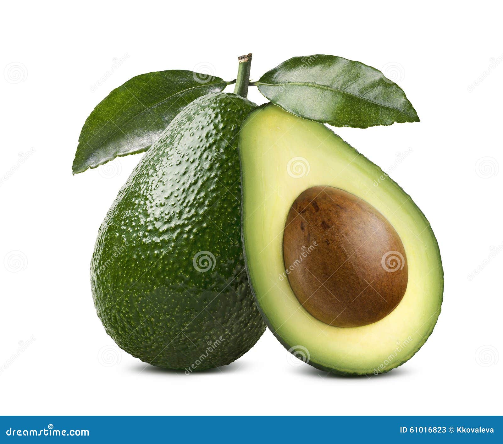 Isolated Avocado On White Background. Whole Avocado Fruit And Two ...