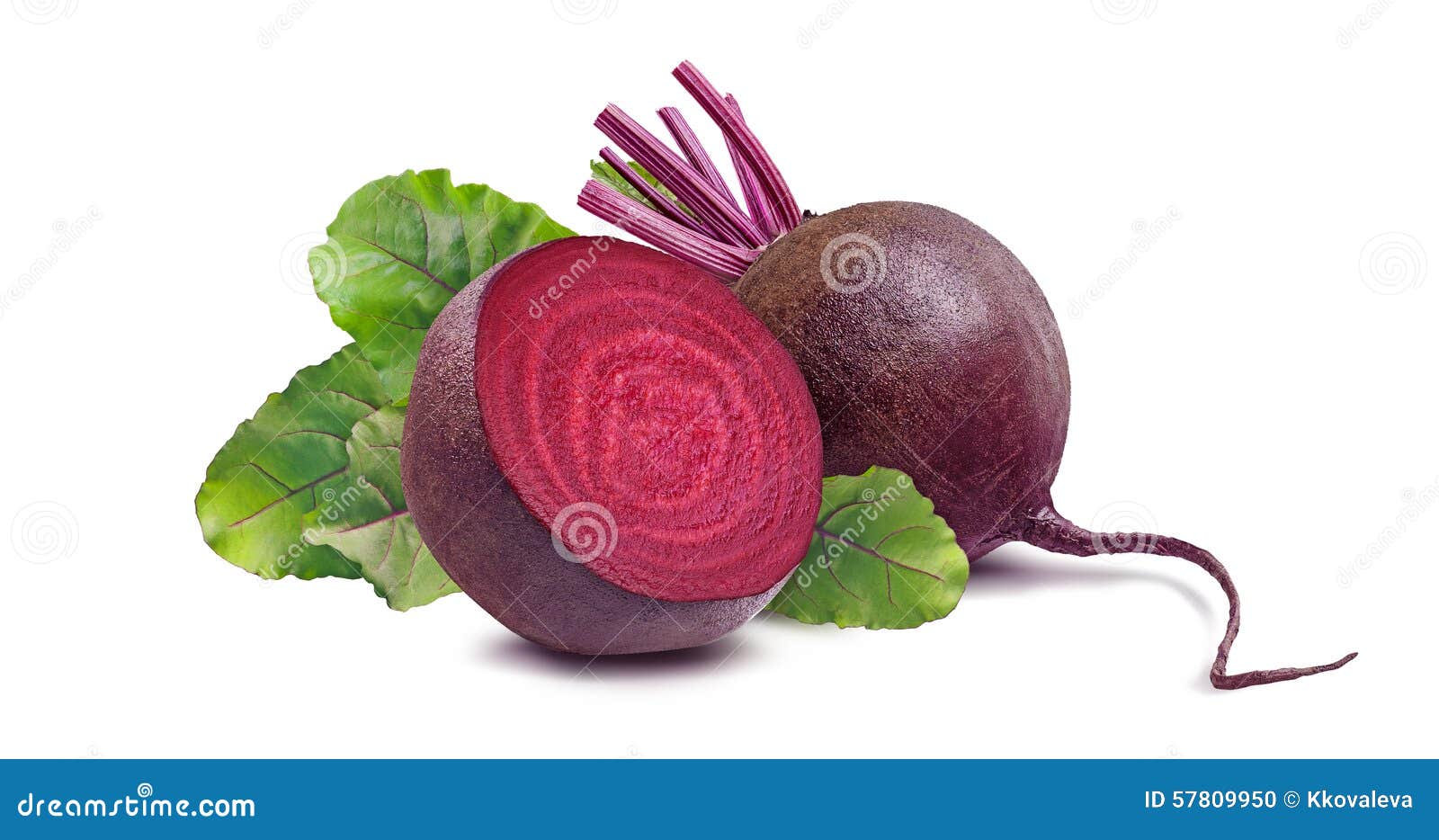 Beet Root Cut Under A Microscope Royalty-Free Stock Image ...