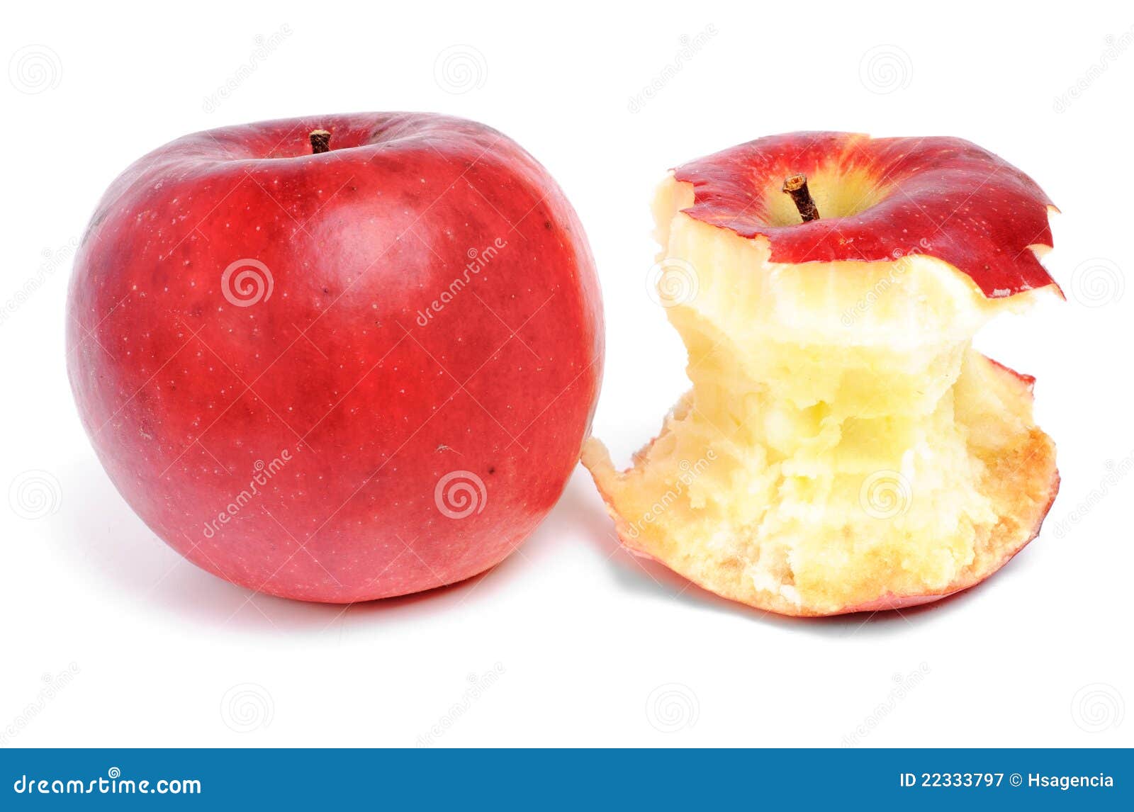 Whole and Bitten Red Apples Stock Image - Image of fresh, nature: 22333797