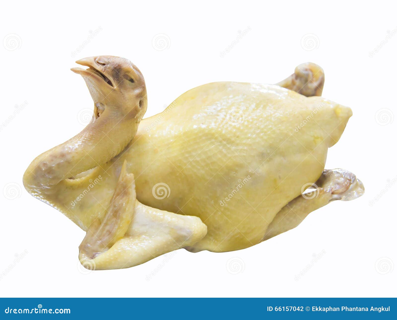 Whole Body of Boiled Chicken Stock Photo - Image of food, cooking: 66157042