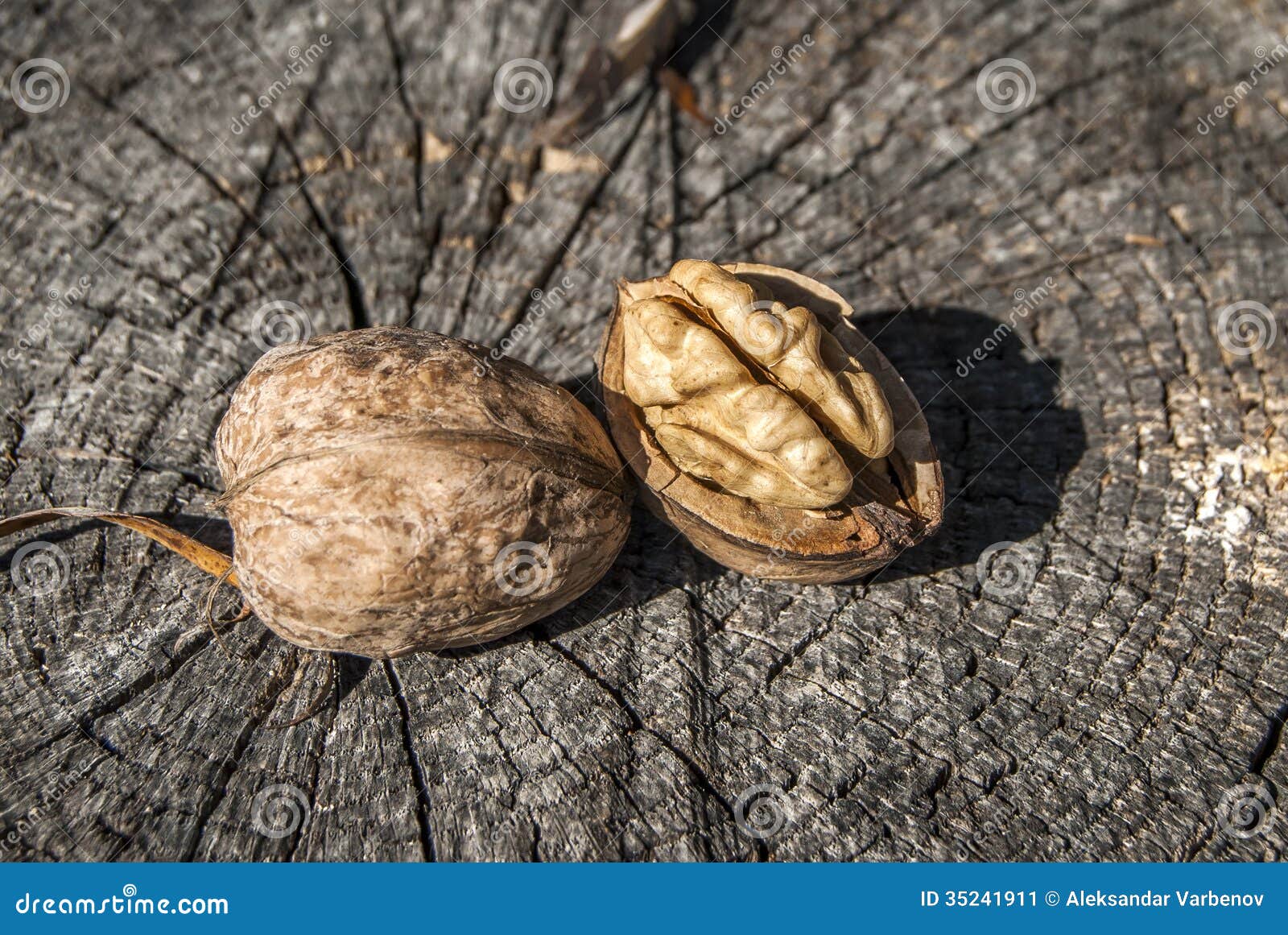 Whole and Broken Fresh Walnuts Stock Image - Image of autumn, fresh ...
