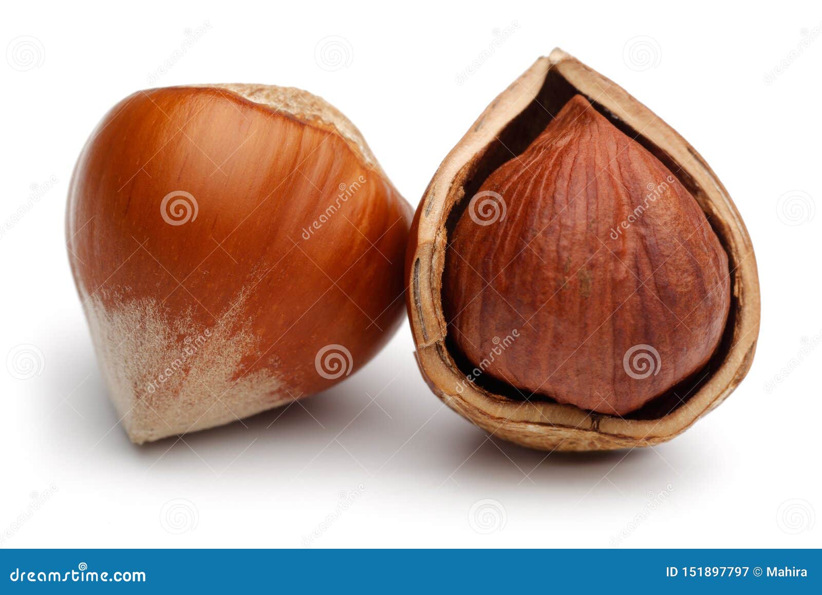 Whole and Broken Hazelnut Isolated on White Stock Image - Image of ...