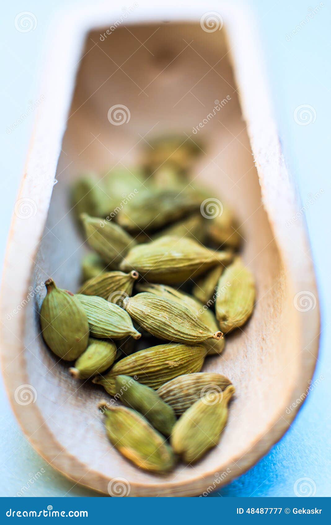 Whole cardamom stock image. Image of healthy, aromatic - 48487777