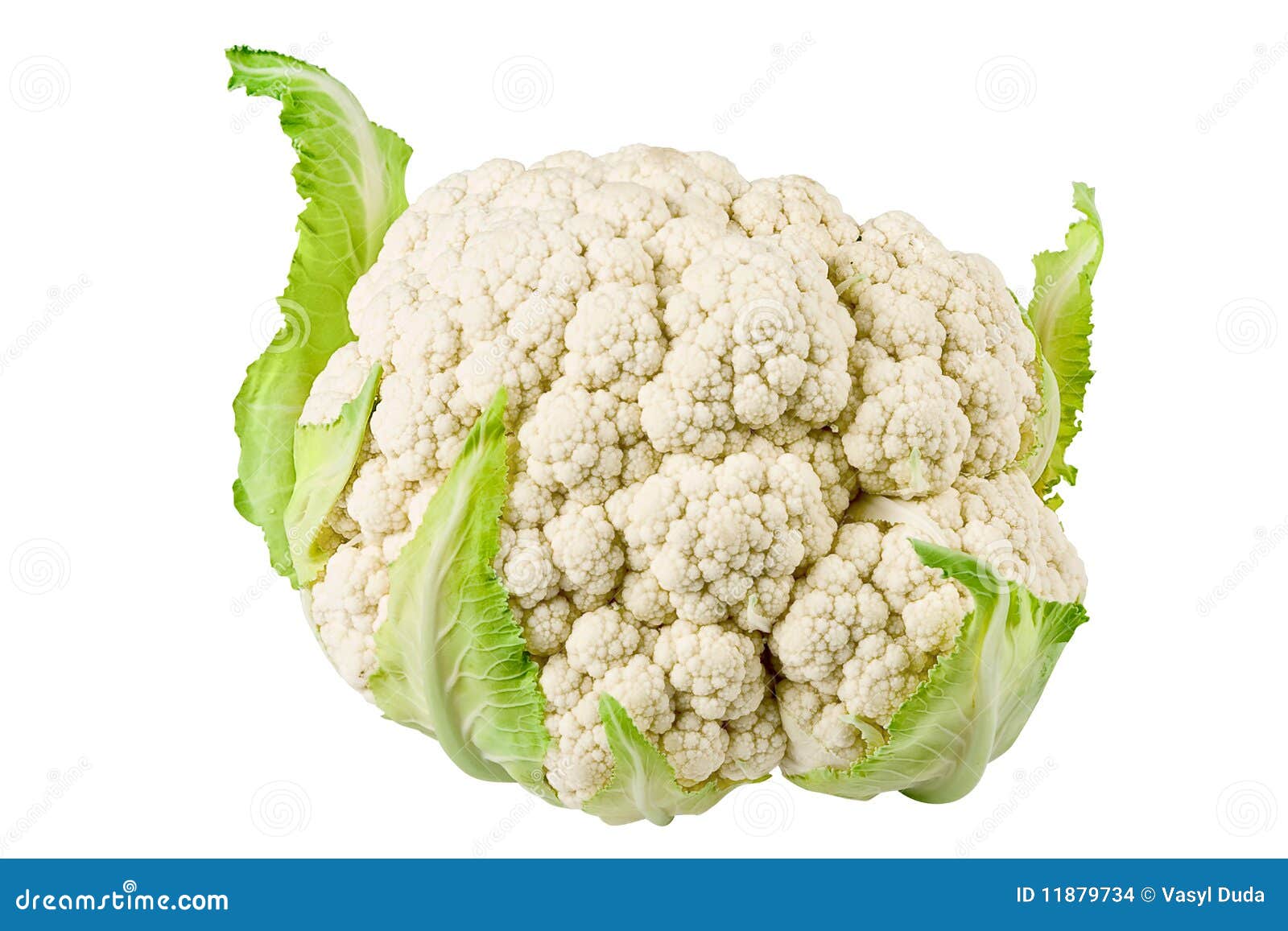 Whole Cauliflower isolated stock photo. Image of agriculture - 11879734