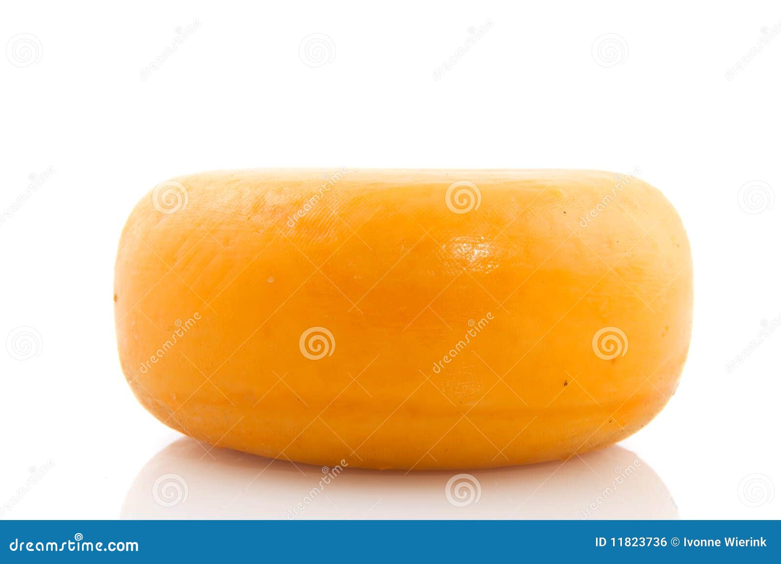 Whole cheese stock photo. Image of healthy, background - 11823736