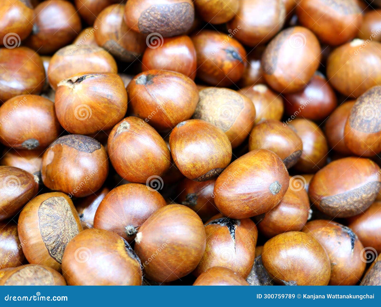 Whole chestnuts in light. stock image. Image of organic - 300759789