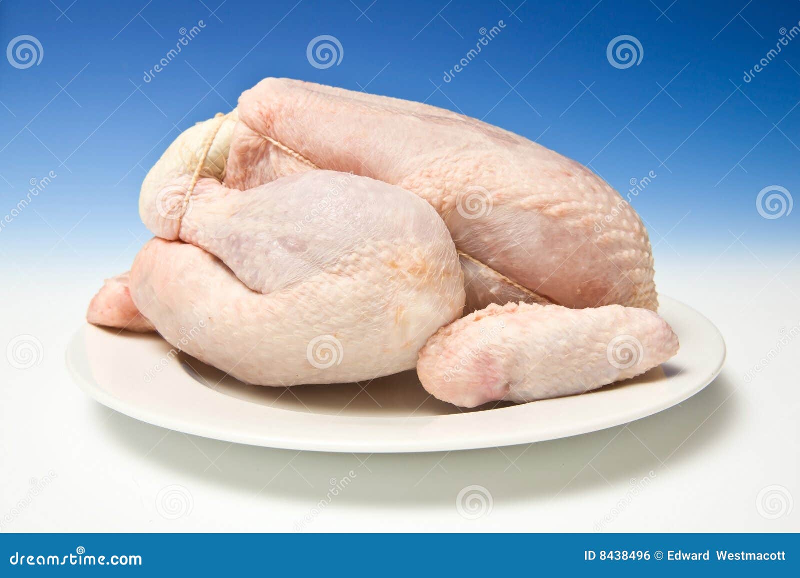 Whole Chicken stock photo. Image of fryer, blue, uncooked - 8438496