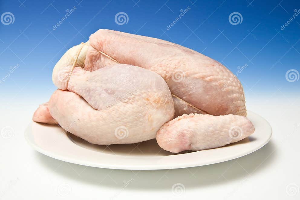 Whole Chicken stock photo. Image of fryer, blue, uncooked - 8438496