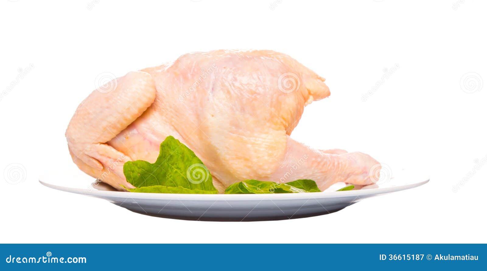 Whole Chicken Meat VI stock image. Image of fowl, broach - 36615187