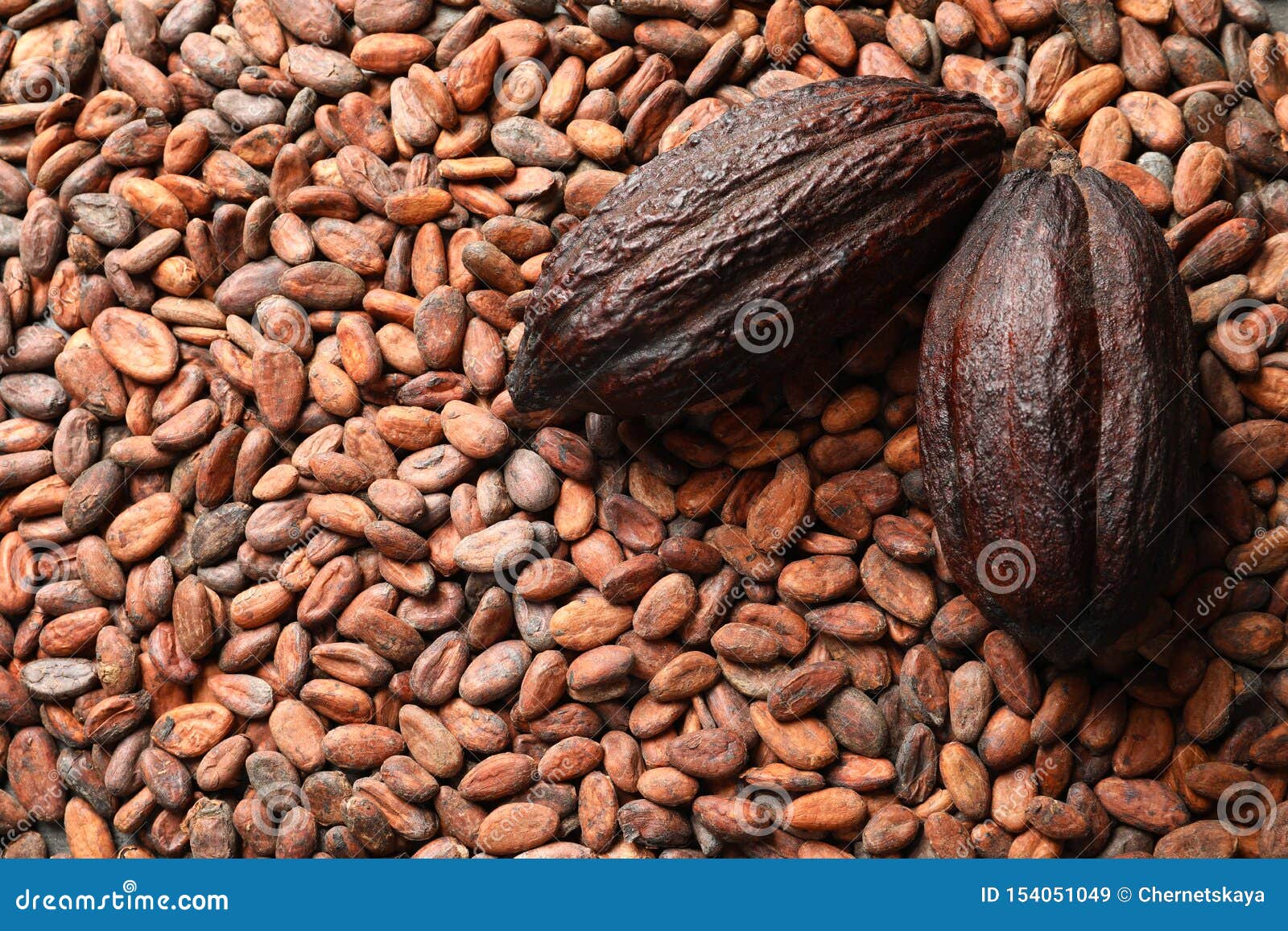 Whole Cocoa Pods on Beans, Top View Stock Image - Image of agriculture ...
