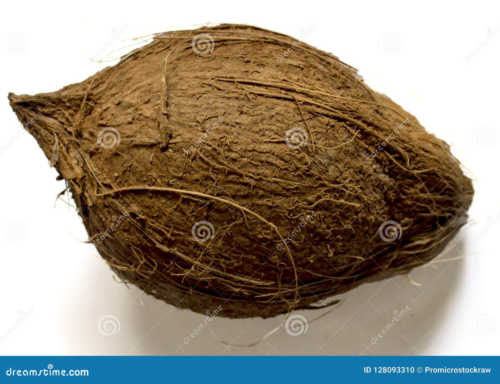 Whole coconut on display stock photo. Image of sweet - 128093310